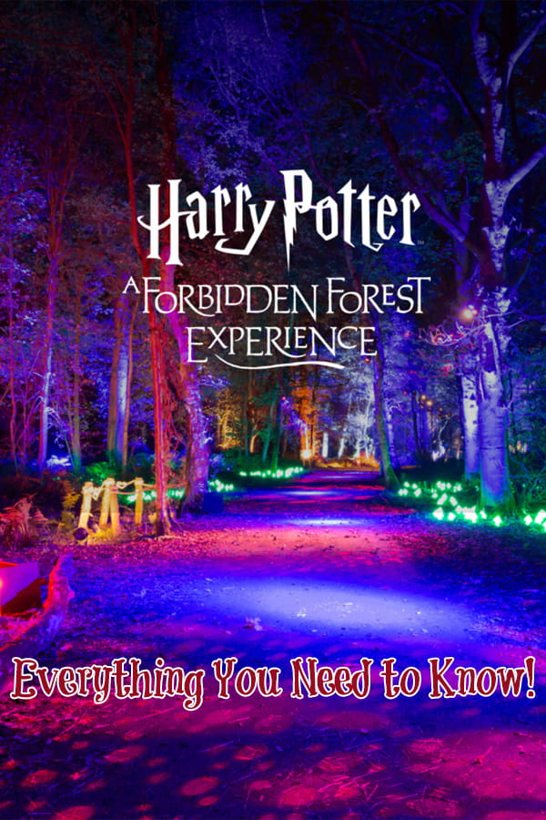Harry Potter Forbidden Forest Experience Review | The TV Traveler